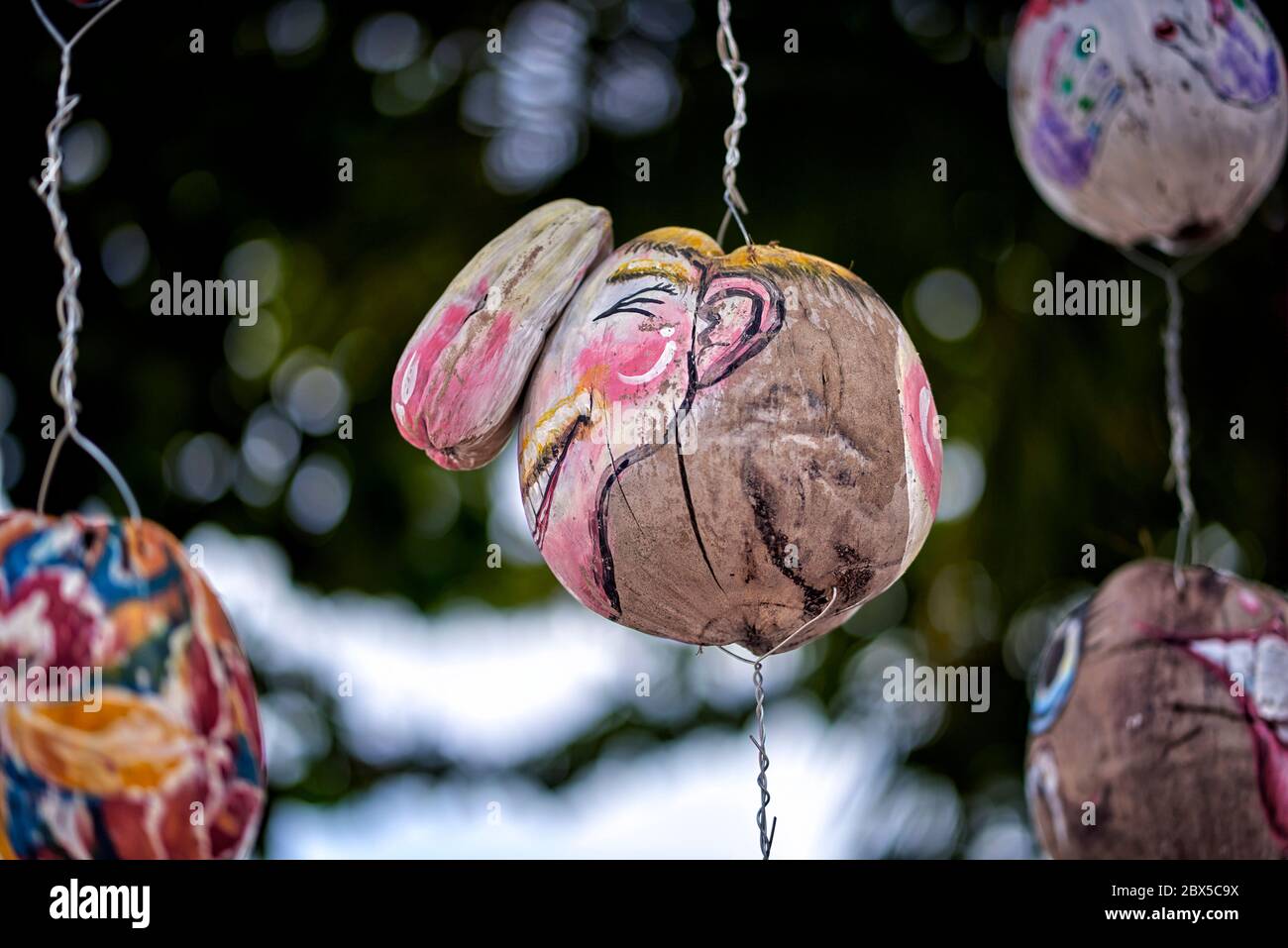 Funny Art Coconuts. Unusual art display of hand painted coconuts ...