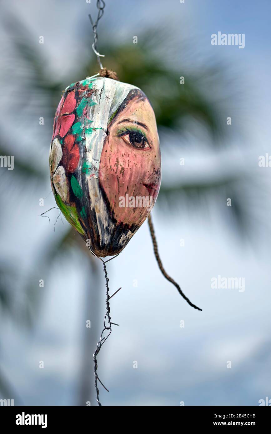 Funny Art Coconuts. Unusual art display of hand painted coconuts ...