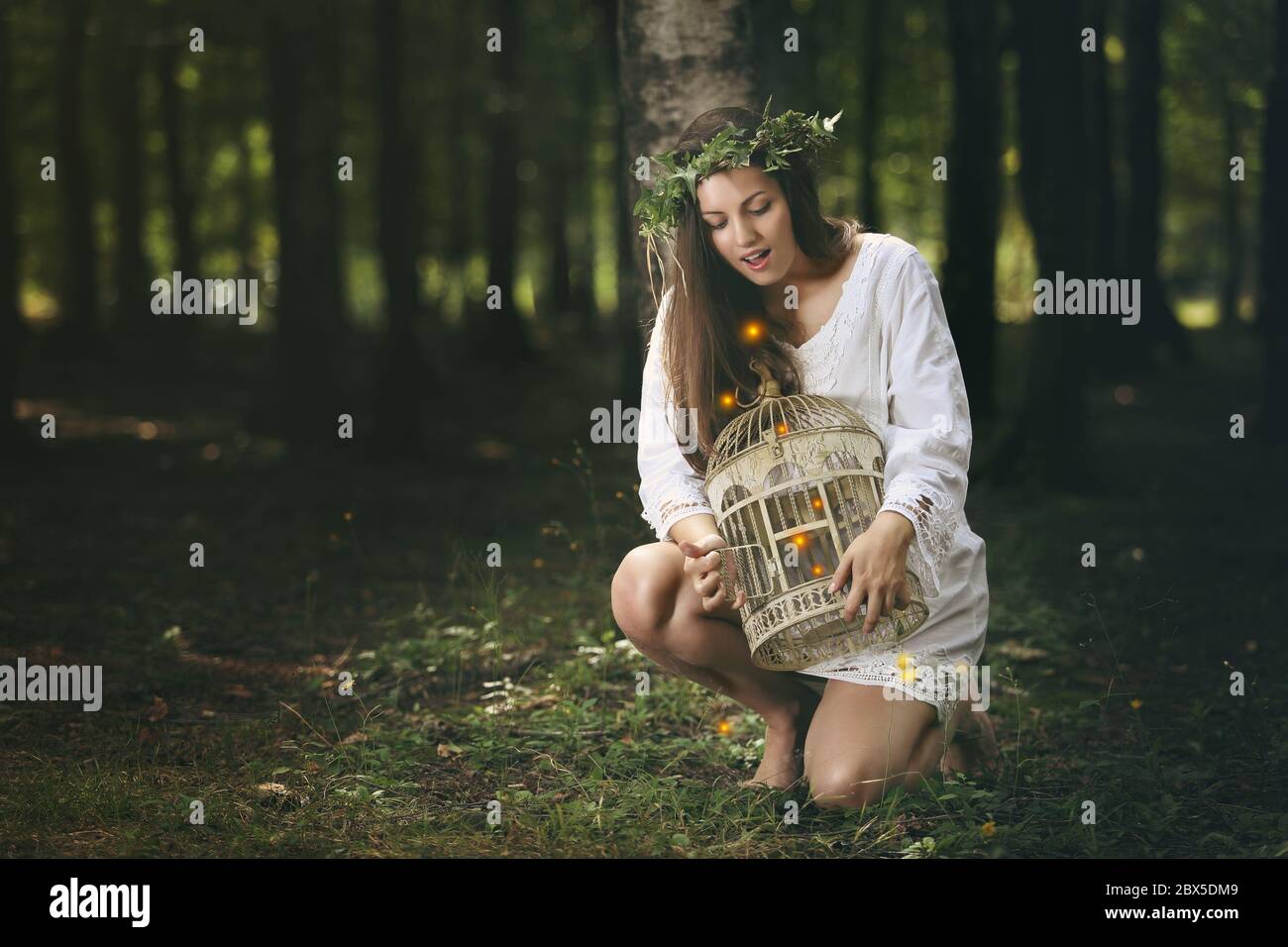 Beautiful girl frees forest fairies from a bird cage. Fantasy concept ...