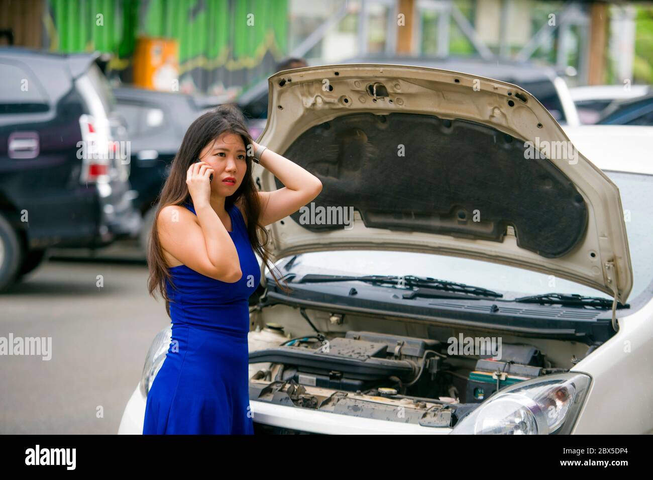 Japanese Woman And Cars