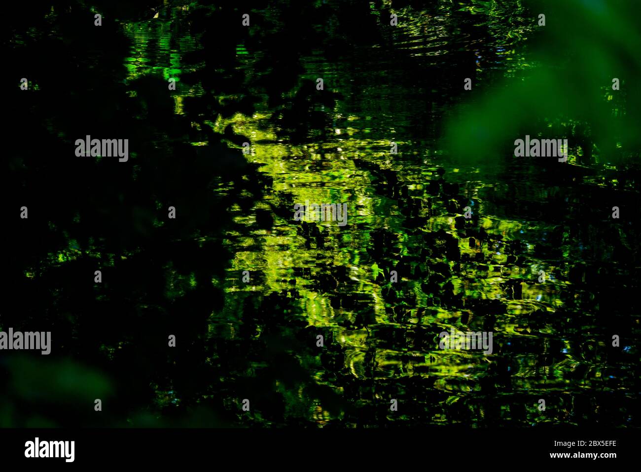 Refection on pond hi-res stock photography and images - Alamy