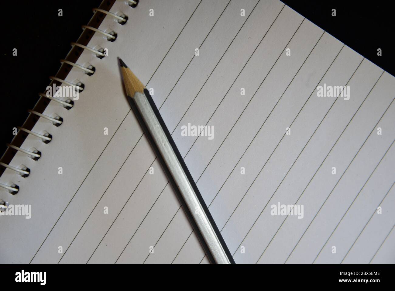 Secretary taking dictation notes hi-res stock photography and images ... Secretary taking dictation notes hi-res stock photography and images ...