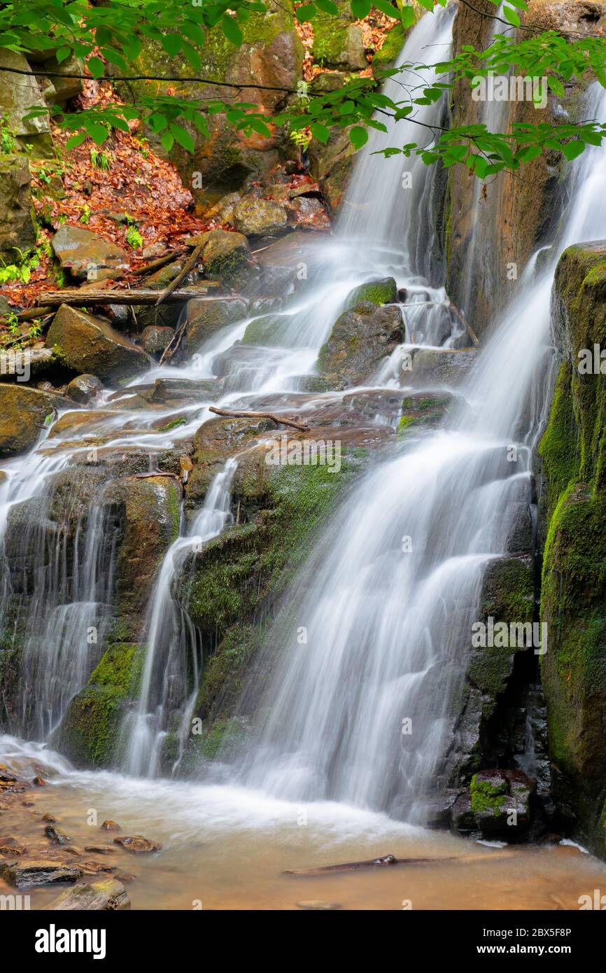 rocks in waterfall stream. beautiful nature scenery in forest. cascade ...