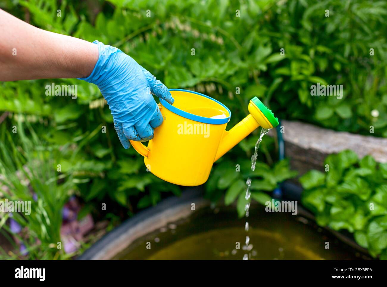 Watering can hand hi-res stock photography and images - Alamy