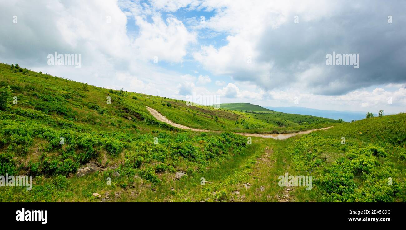 Road winding through rolling green hi-res stock photography and images ...