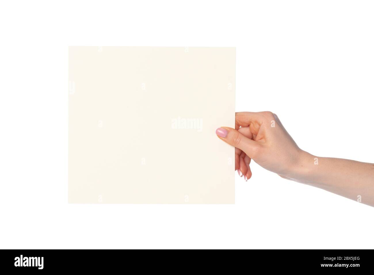 Woman's hand showing white paper banner isolated on white Stock Photo ...