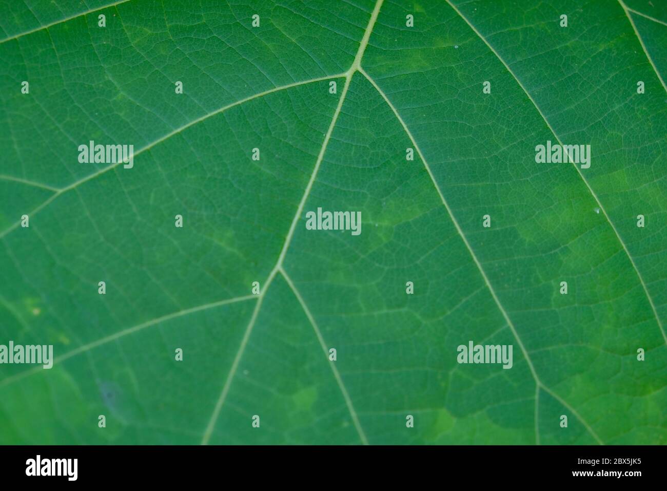 Groove design hi-res stock photography and images - Alamy