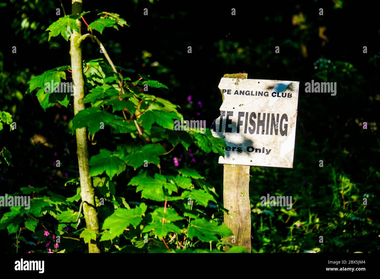 Private Fishing Sign Surrounded by Leaves on the river Bela Stock Photo ...