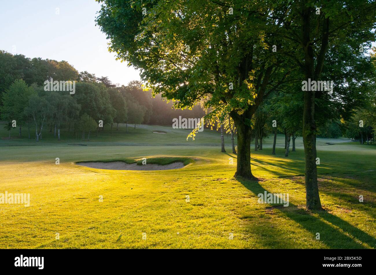 Early morning view from the Fairway over Bunker towards 13th Green East ...