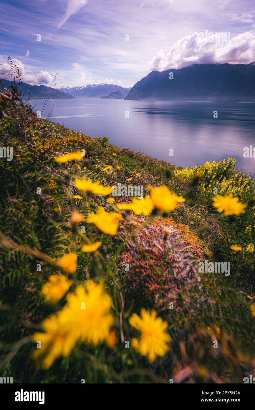 Beautiful blue Lake Hawea, Wanaka, South Island New Zealand Stock Photo ...