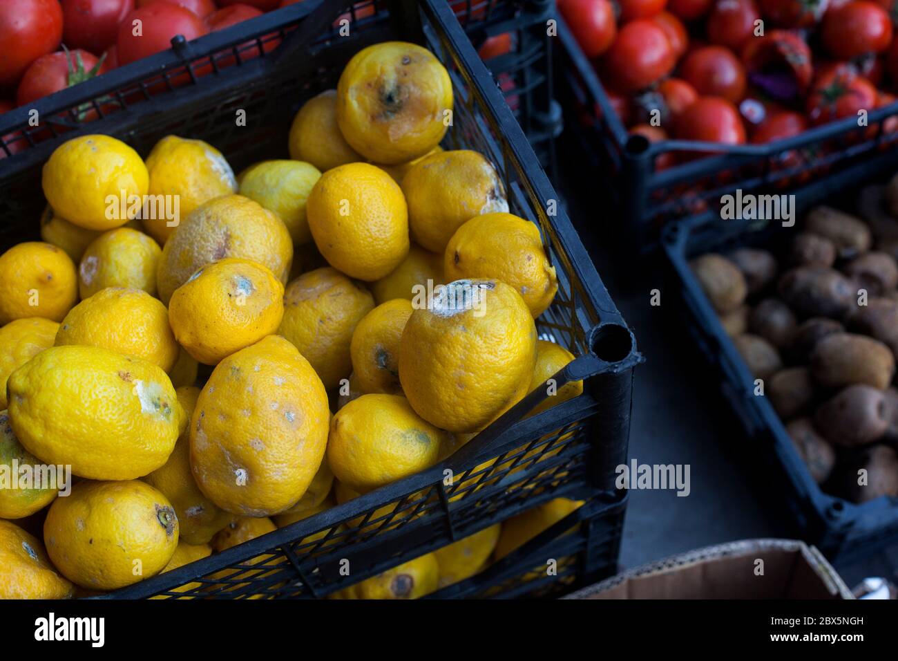 Rotten vegetables hi-res stock photography and images - Alamy