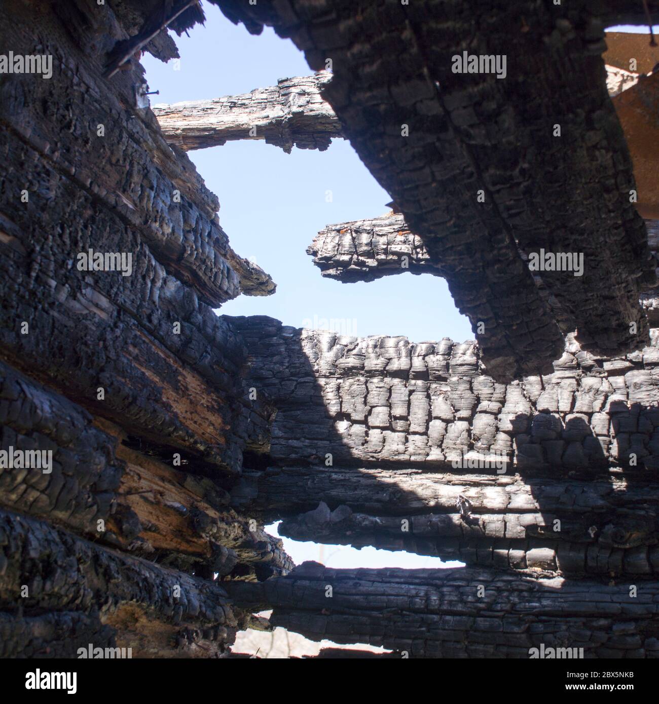 Natural fire ashes with dark grey black coals texture. It is a ...