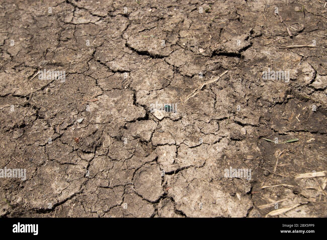 Infertile soil hi-res stock photography and images - Alamy