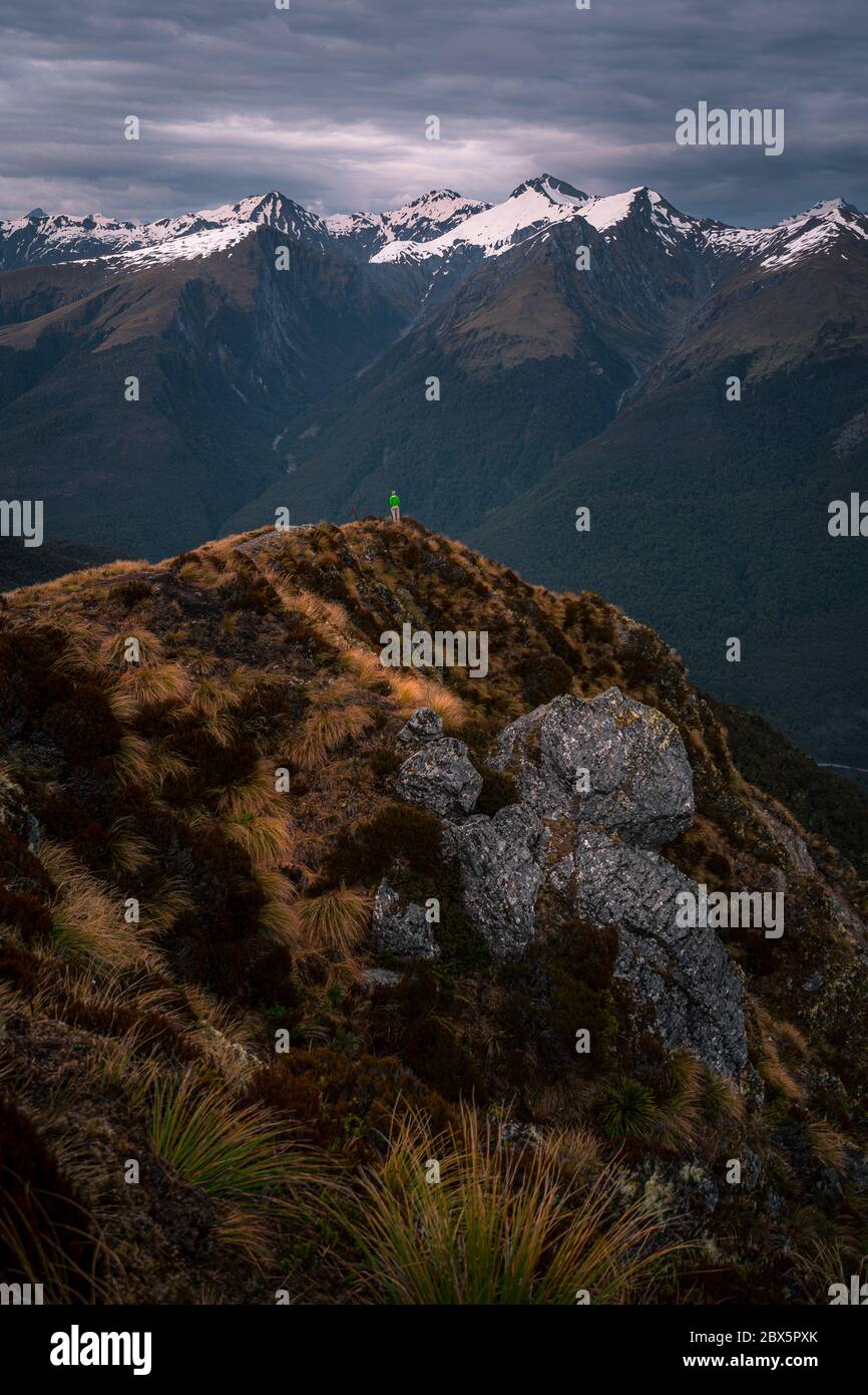 Mount Aspiring National Park, New Zealand Stock Photo - Alamy
