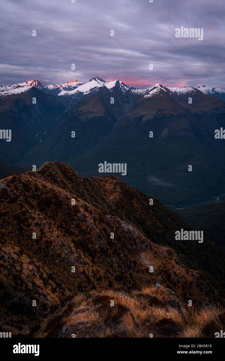 Mount Aspiring National Park, New Zealand Stock Photo - Alamy