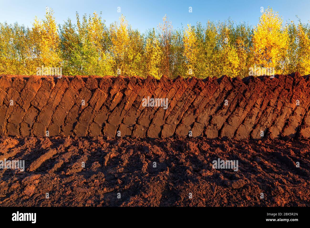 Rows of cutted peat at an excavation side in a peat bog at Northwestern ...