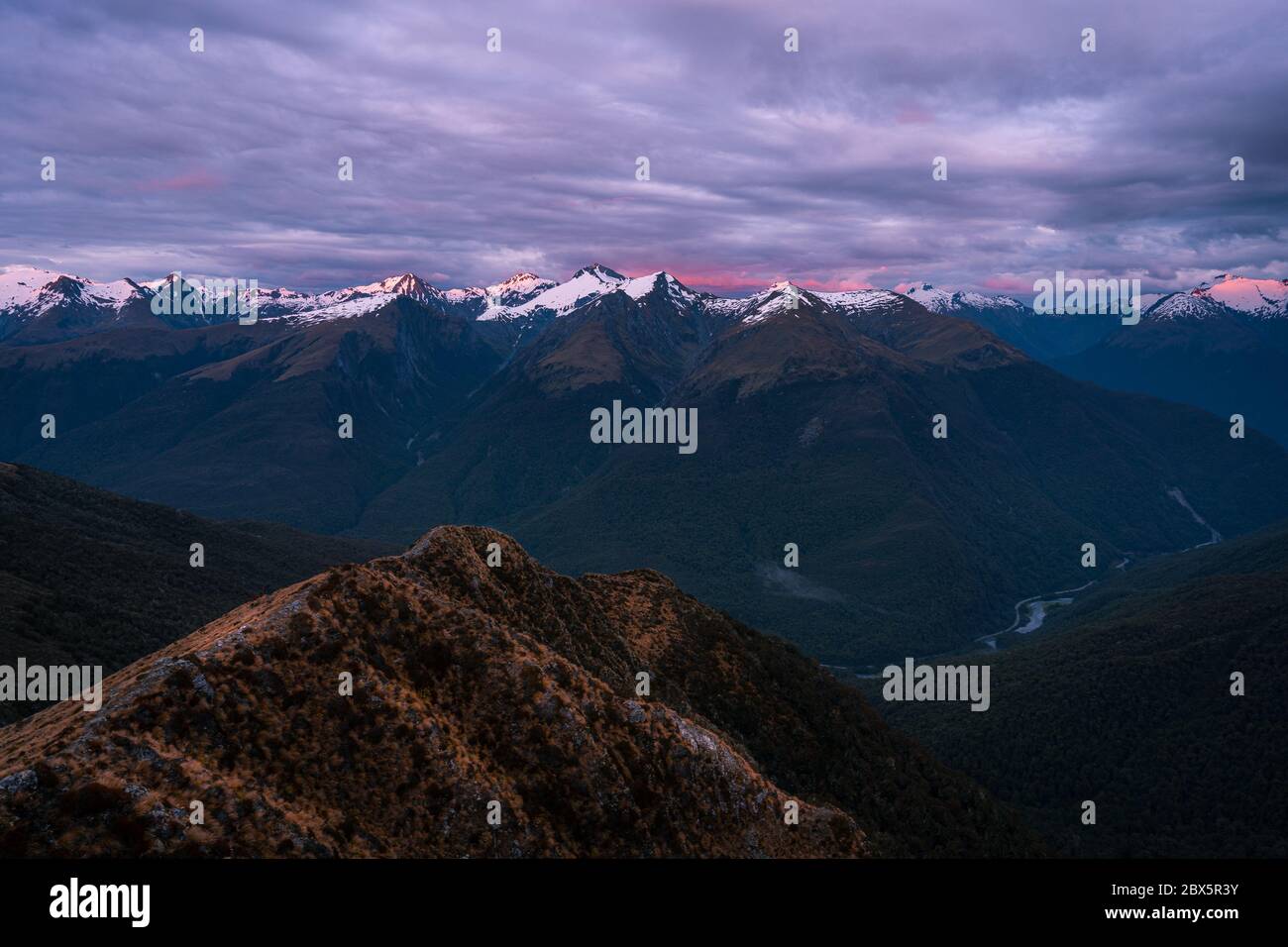 Mount Aspiring National Park, New Zealand Stock Photo - Alamy