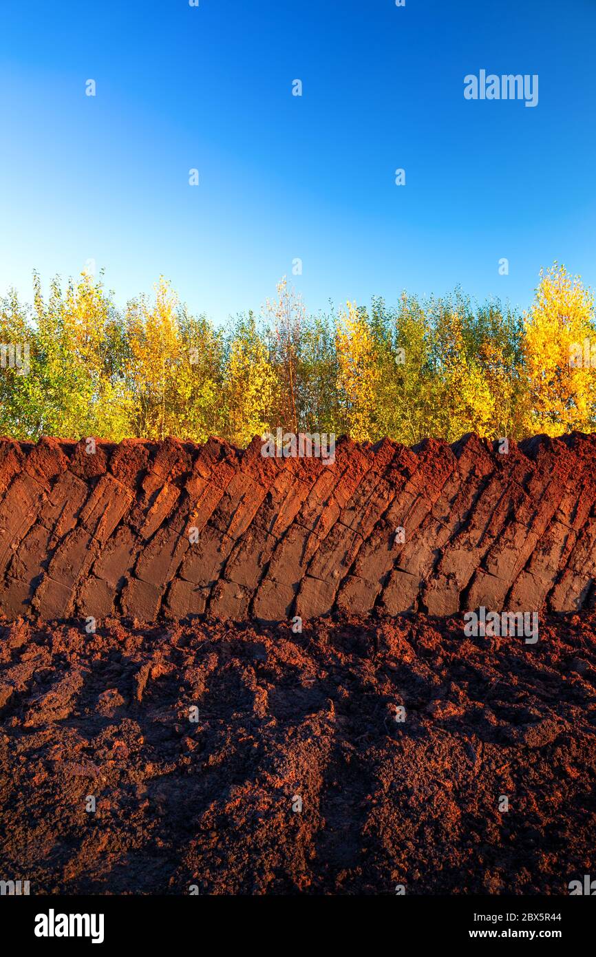 Rows of cutted peat at an excavation side in a peat bog at Northwestern ...