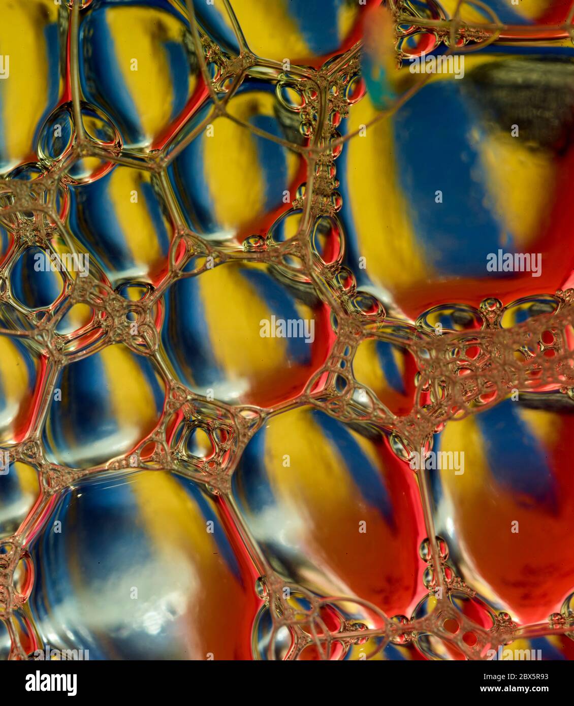 Colourful bubbles still=life symbolising the myriad patterns of human ...