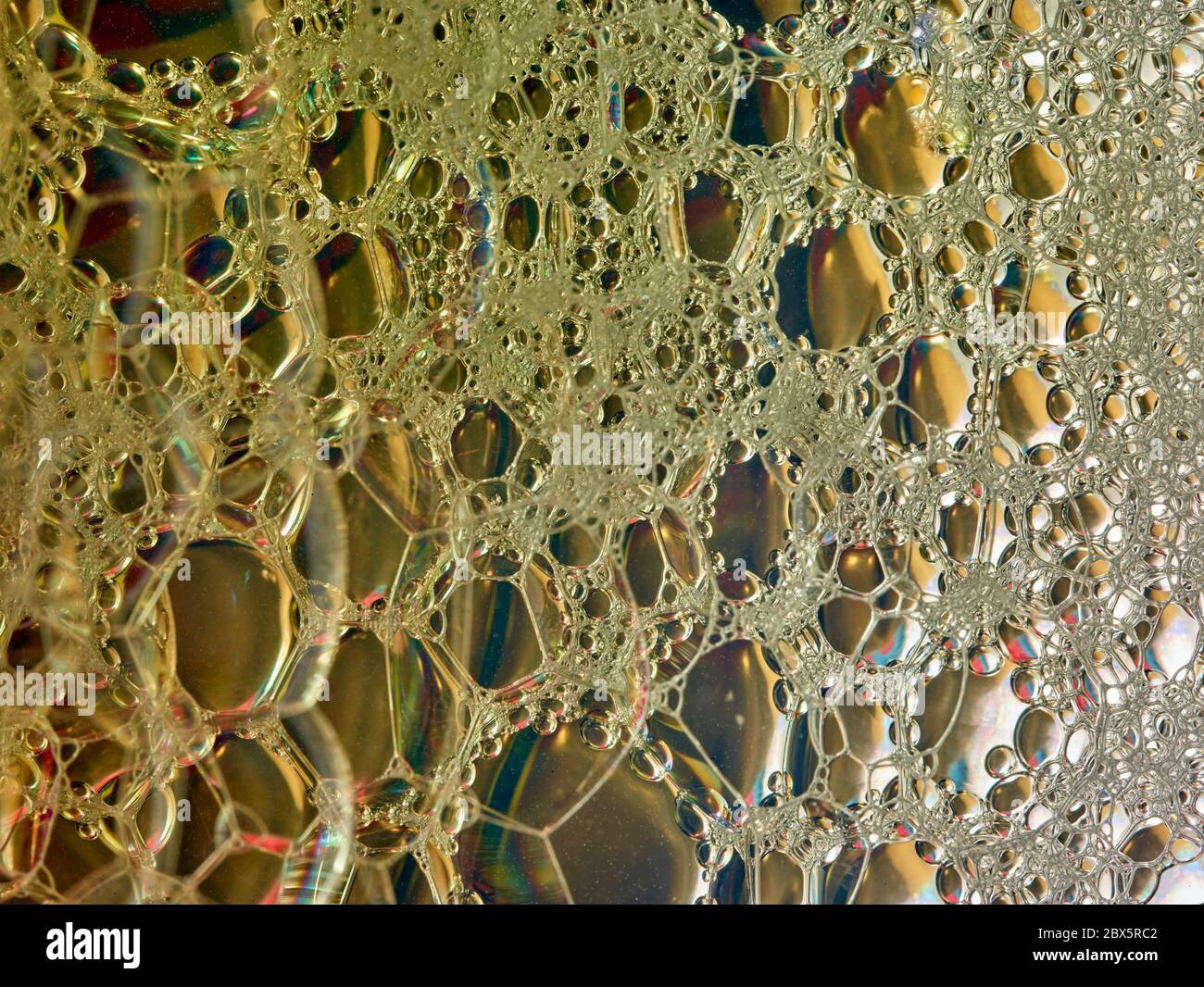 Colourful bubbles still=life symbolising the myriad patterns of human ...