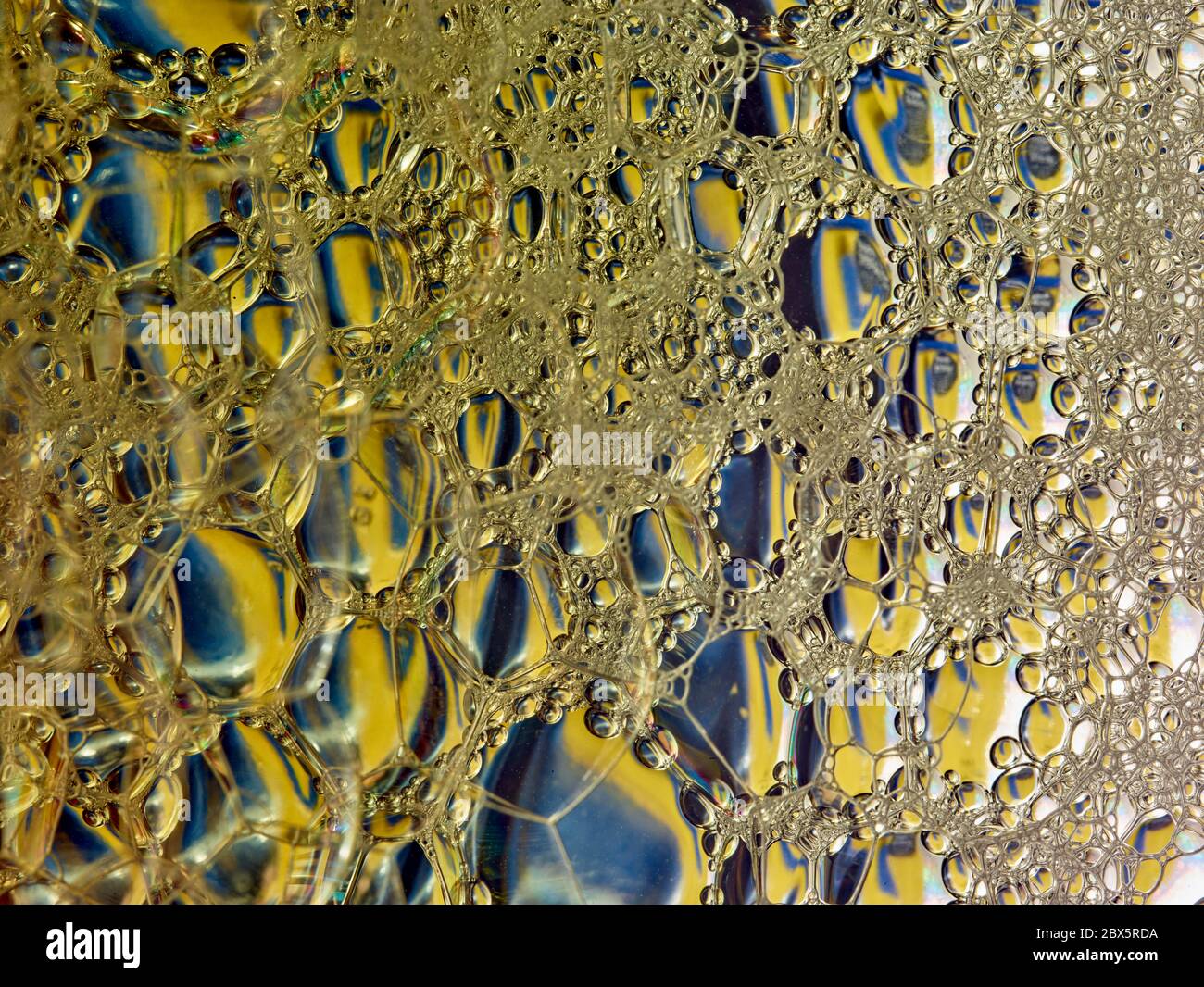 Colourful bubbles still=life symbolising the myriad patterns of human ...