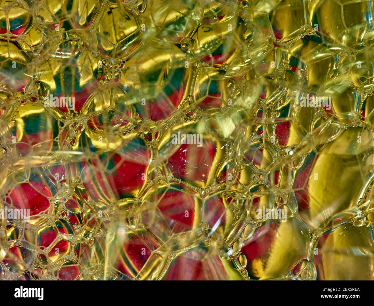 Colourful bubbles still=life symbolising the myriad patterns of human ...