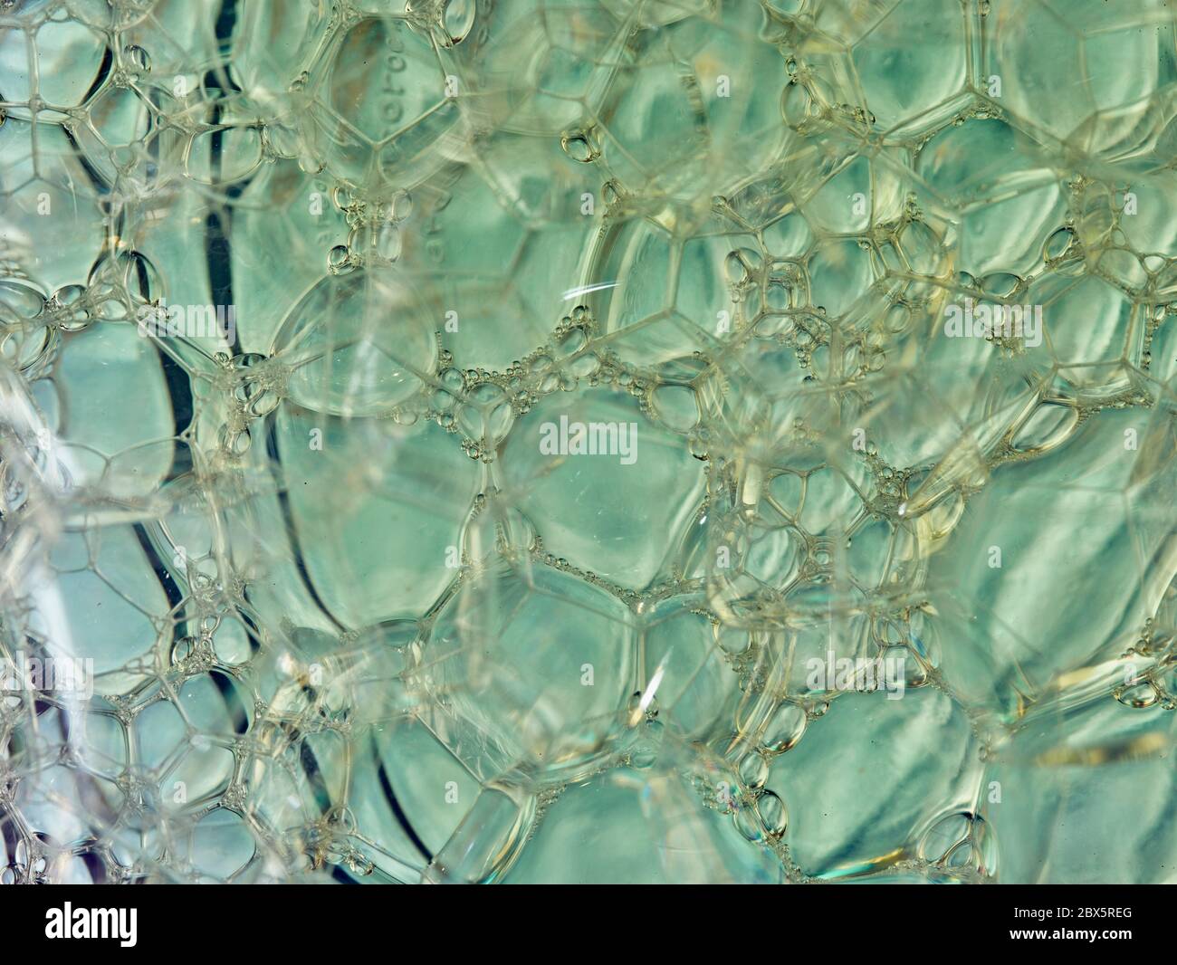 Colourful bubbles still=life symbolising the myriad patterns of human ...