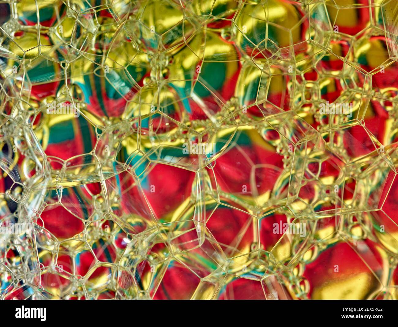 Colourful bubbles still=life symbolising the myriad patterns of human ...