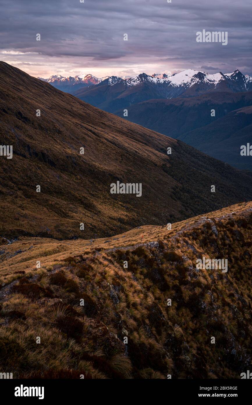 Mount Aspiring National Park, New Zealand Stock Photo - Alamy