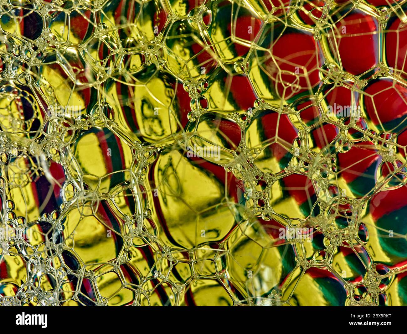 Colourful bubbles still=life symbolising the myriad patterns of human ...