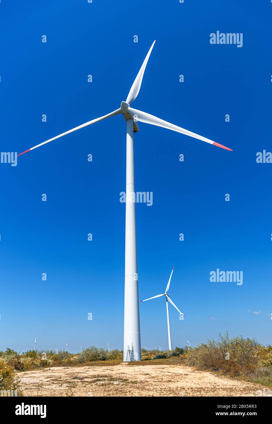 Wind farm in the field Stock Photo - Alamy