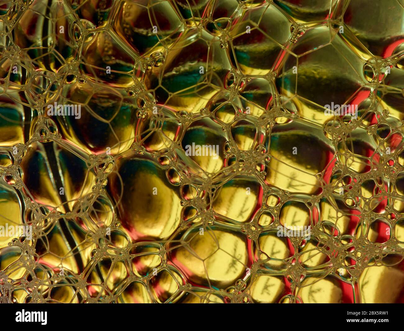 Colourful bubbles still=life symbolising the myriad patterns of human ...