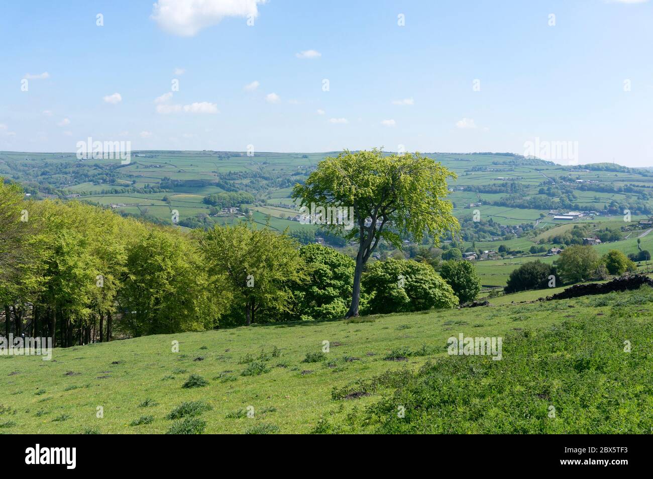 View into calder valley hi-res stock photography and images - Alamy