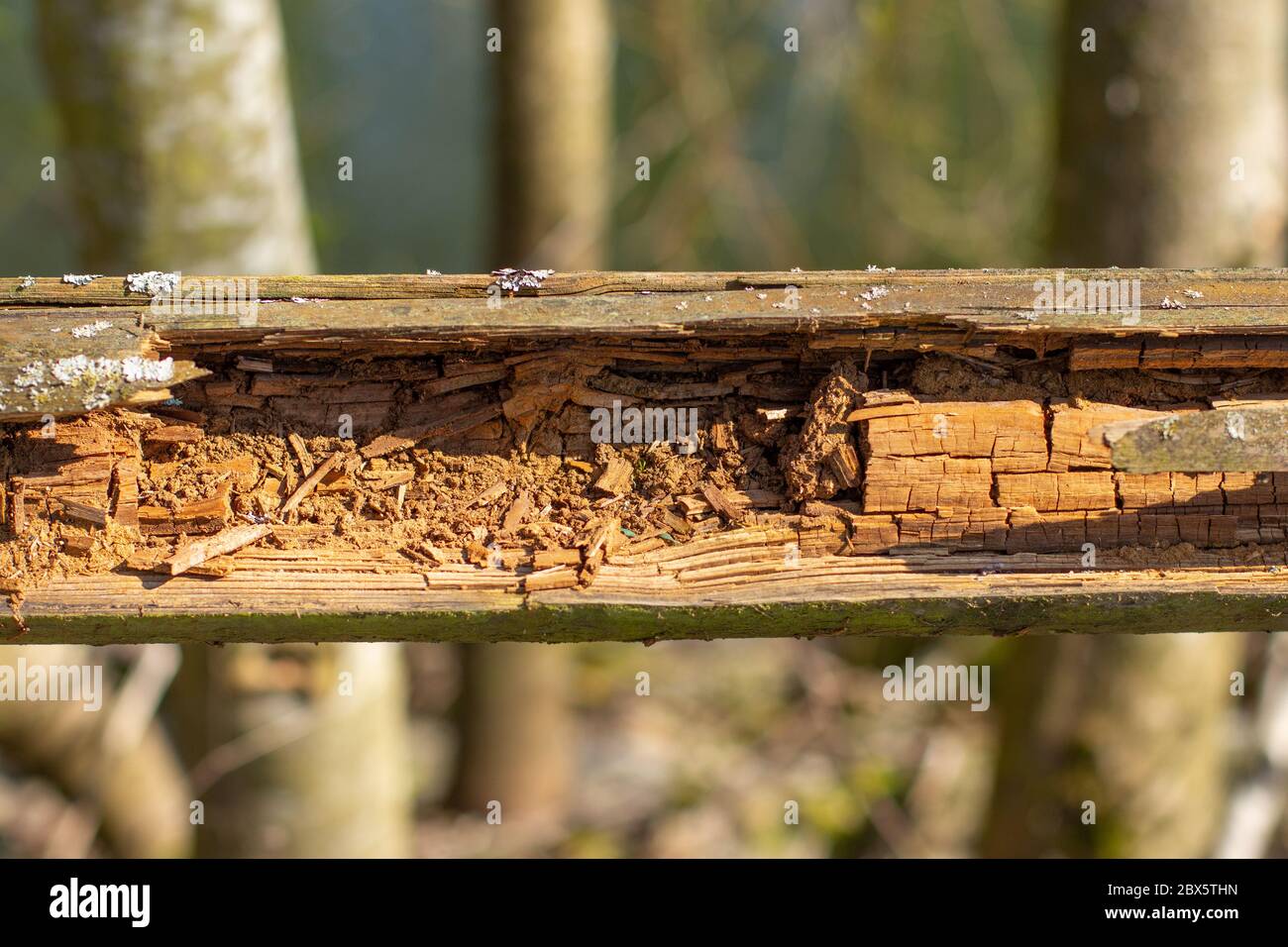 Broken railing hi-res stock photography and images - Alamy