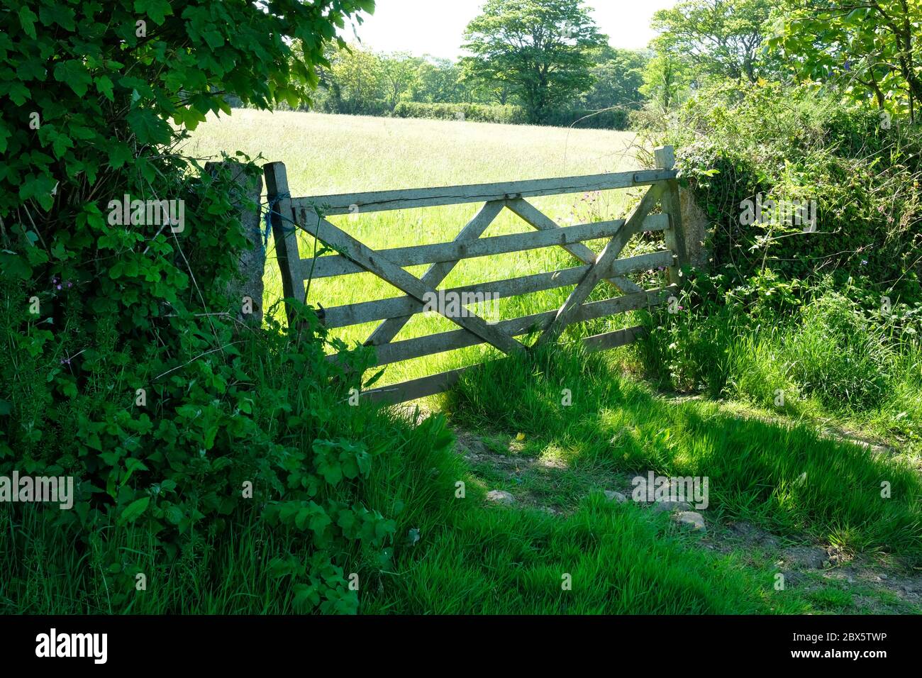 Gates in a field hi-res stock photography and images - Alamy