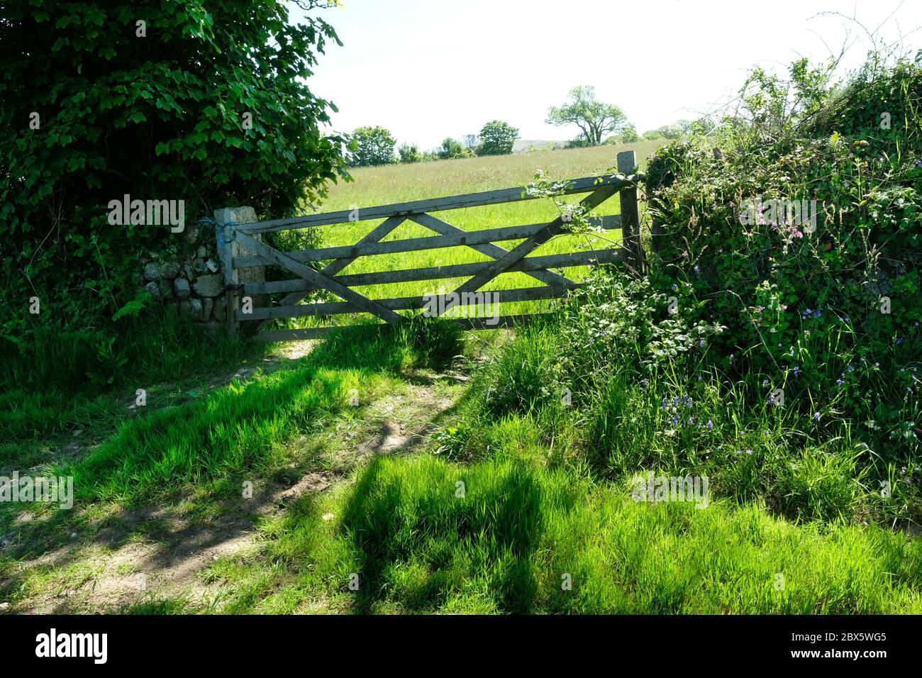 Gates in a field hi-res stock photography and images - Alamy