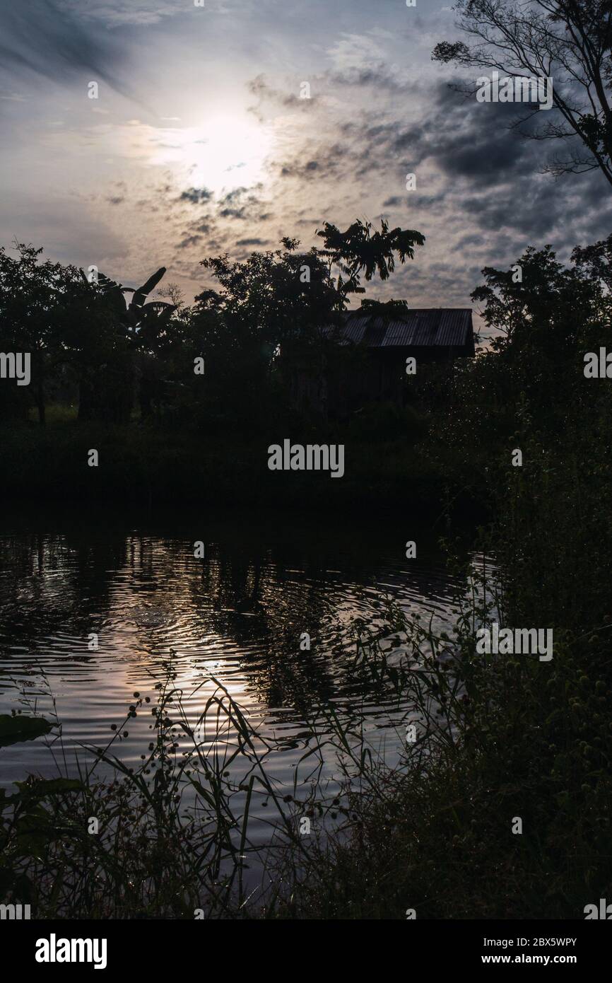 tropical landscape, amazon, riverside, tilapia pools, evergreen, trees ...