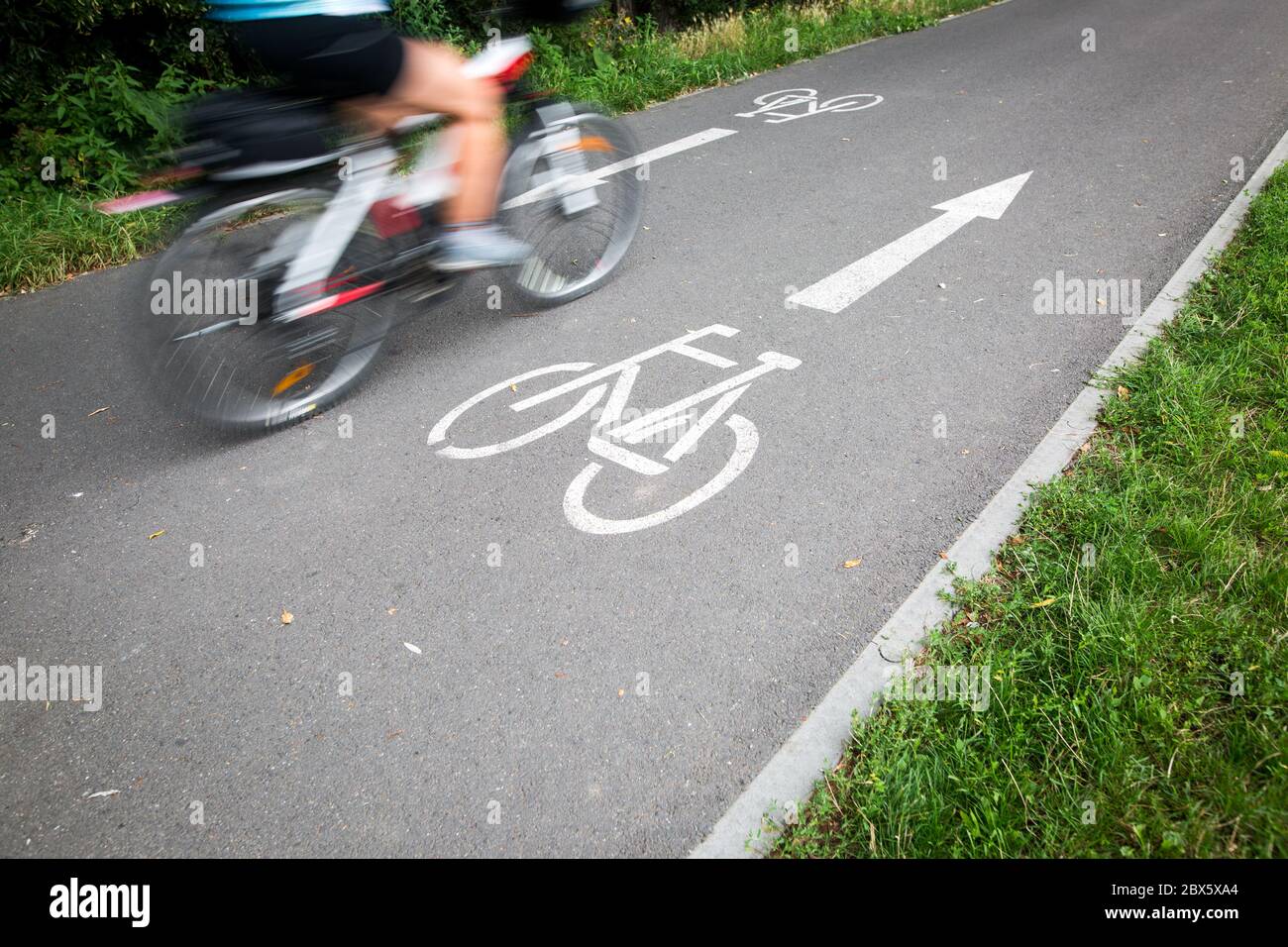 Cyclist on road bike, bike path going fast, motion blur technique is used to convey movement ...