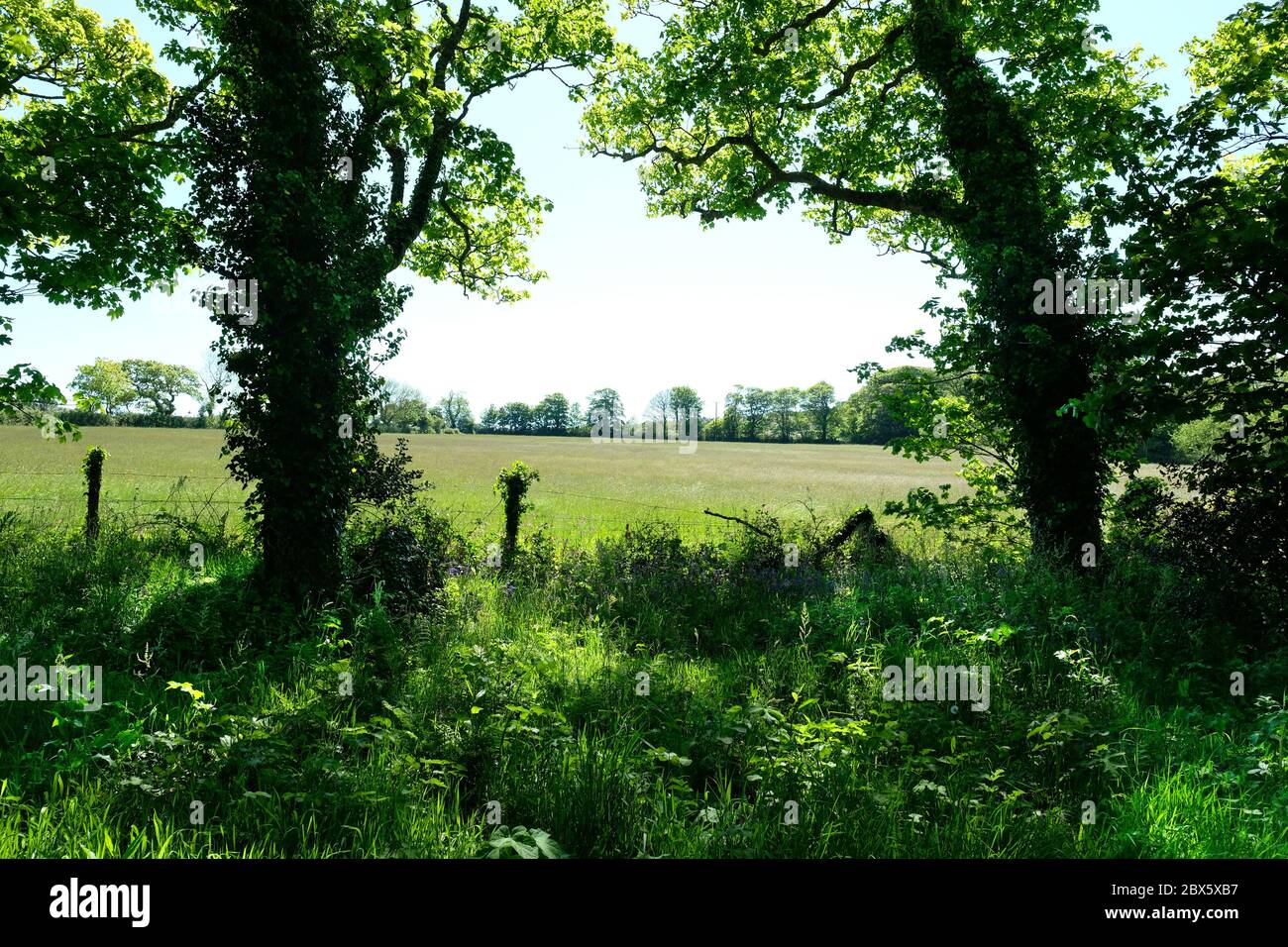 English field hi-res stock photography and images - Alamy