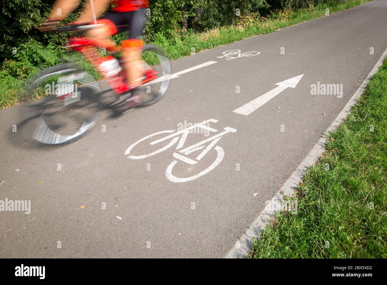 Cyclist on road bike, bike path going fast, motion blur technique is ...