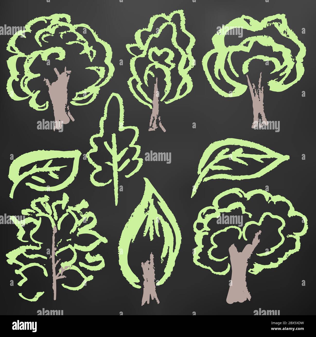 Zeus Oak Tree Symbol