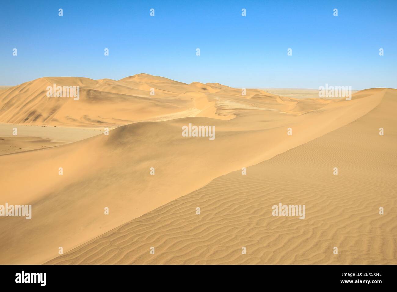 Big sand dunes panorama. Desert and coastal beach sand landscape ...