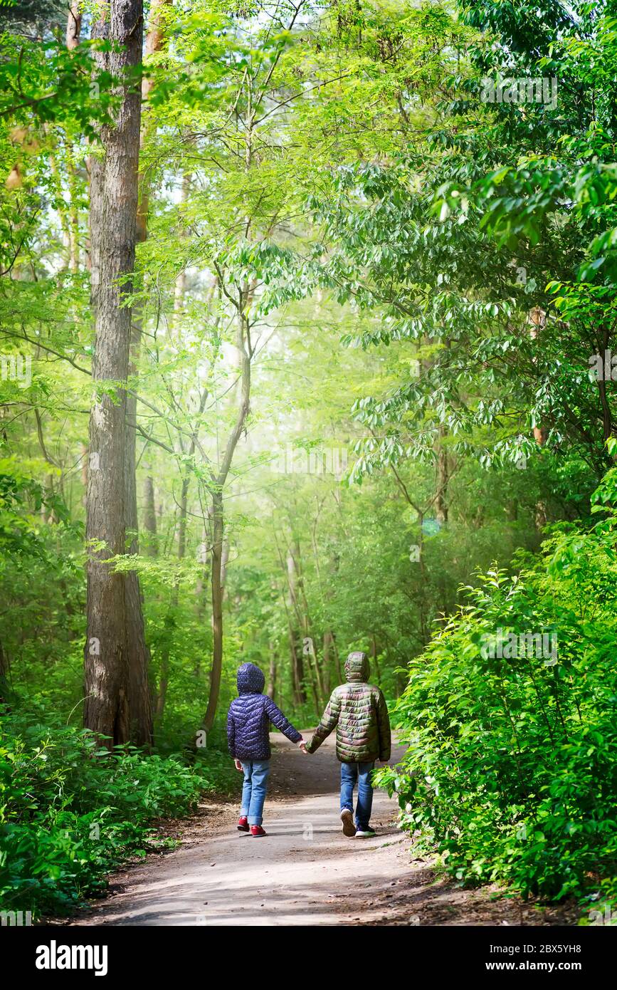 Children in tree bushes hi-res stock photography and images - Alamy