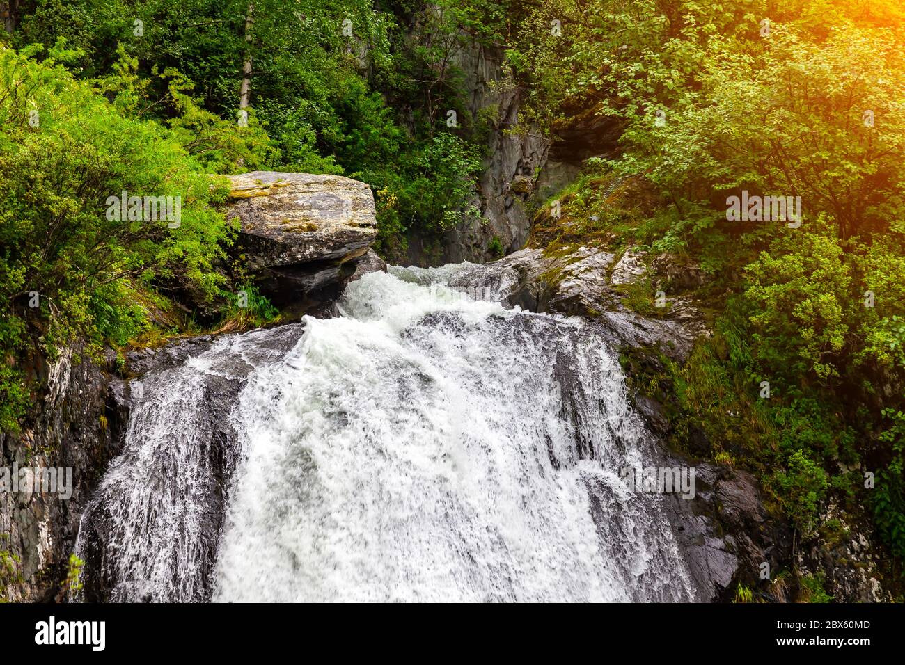 Taiga zone hi-res stock photography and images - Alamy