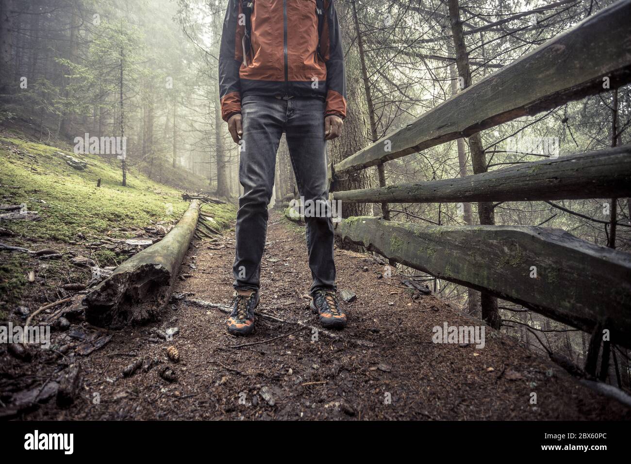 a man walking alone inside a forest in a foggy day Stock Photo - Alamy