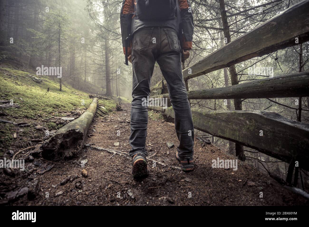 a man walking alone inside a forest in a foggy day Stock Photo - Alamy