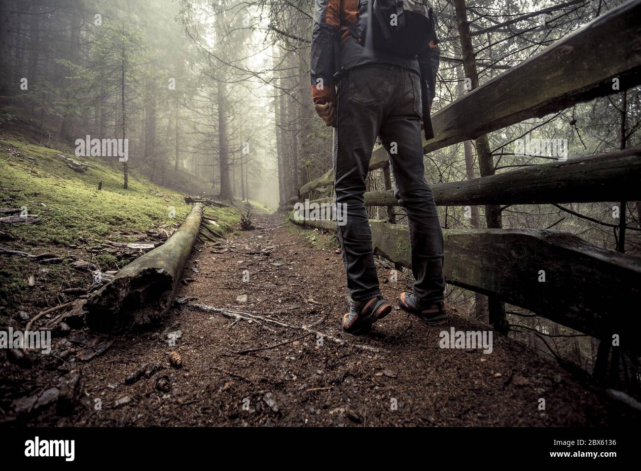 a man walking alone inside a forest in a foggy day Stock Photo - Alamy