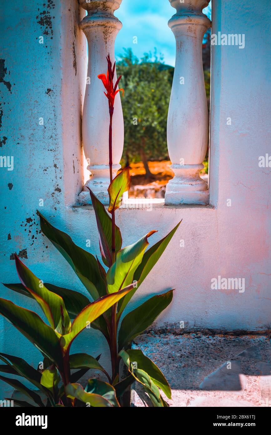 Villa and flowers hi-res stock photography and images - Alamy