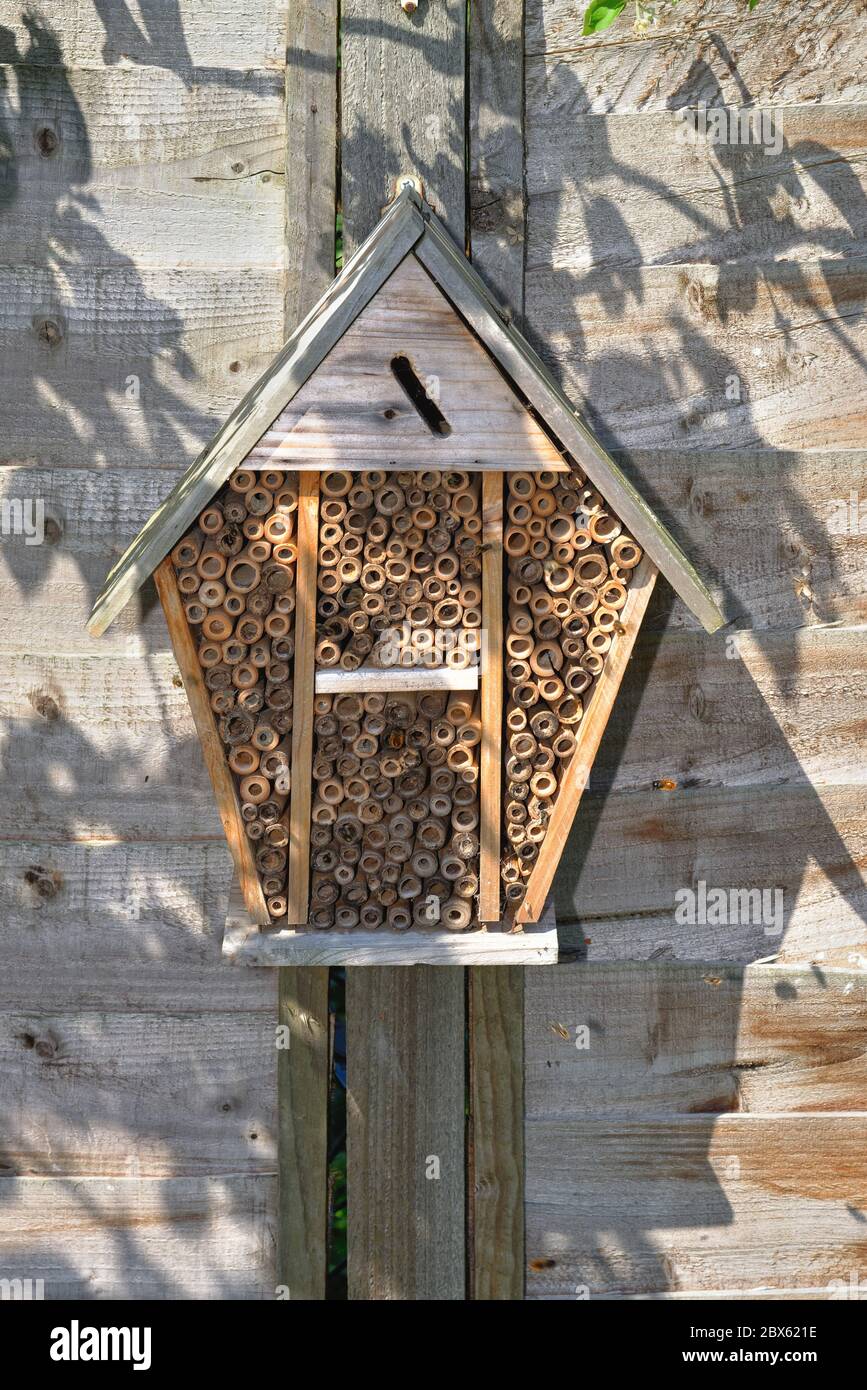 Close up of bee hotel on a garden fence with mason bees flying around ...