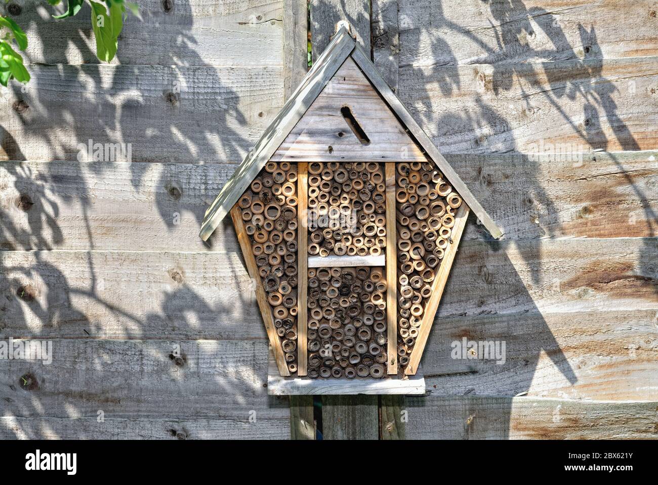 Bee hotel hi-res stock photography and images - Alamy